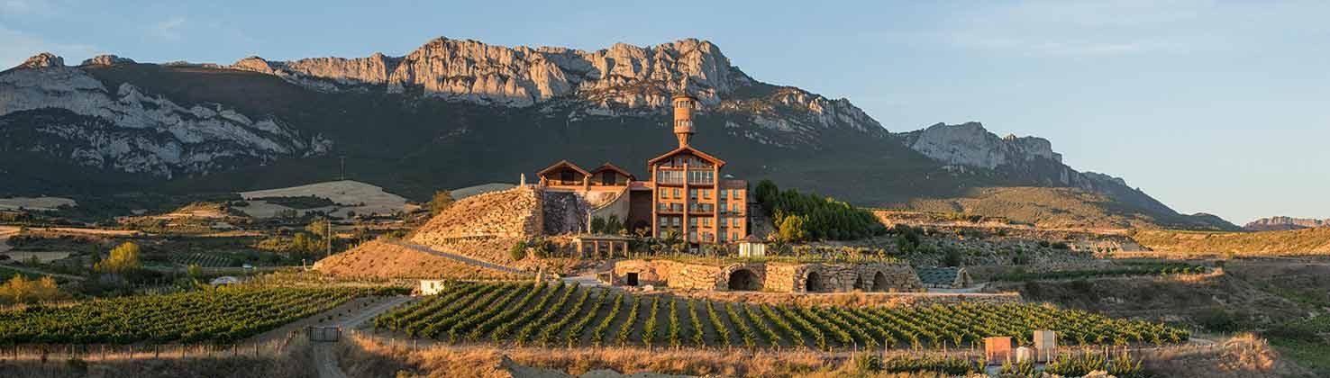 Claves para organizar la visita a una buena bodega